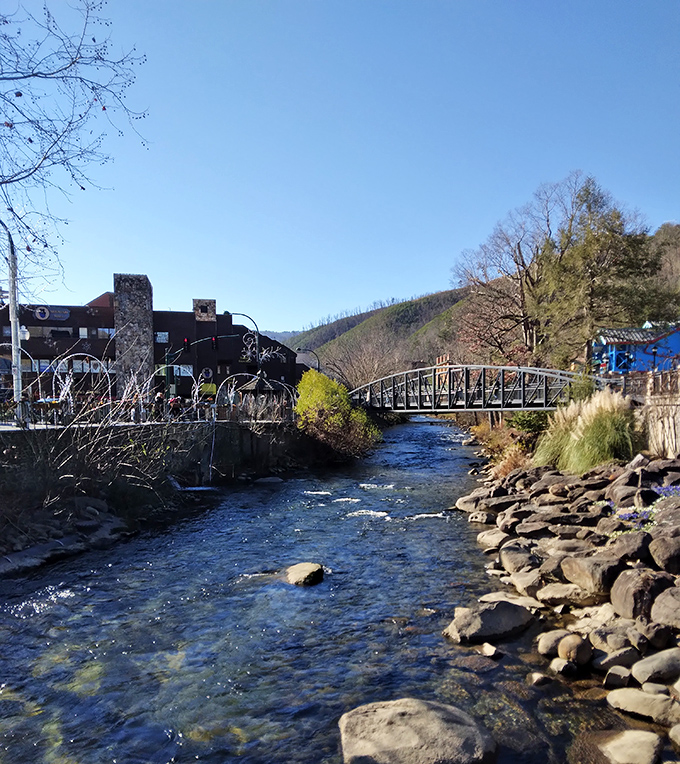 A crystal-clear mountain stream cuts through Gatlinburg, nature's perfect soundtrack for your Smoky Mountain getaway.