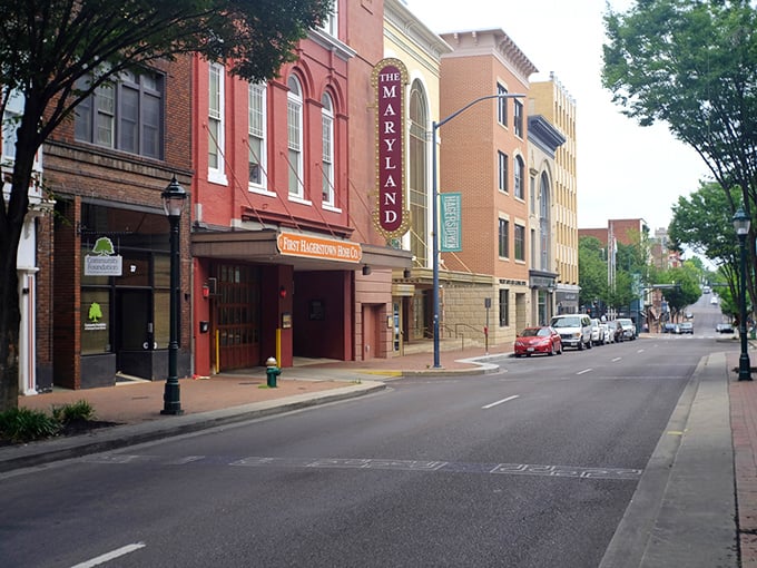 The Maryland Theatre marquee stands as Hagerstown's cultural beacon. In a world of streaming, there's still magic in those velvet seats.