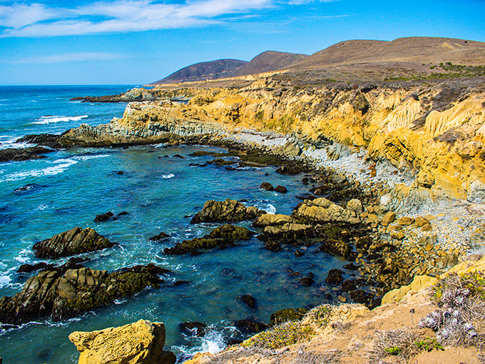 Golden California hills meet dramatic coastal cliffs. At Harmony Headlands, you can almost hear the landscape sighing with contentment.