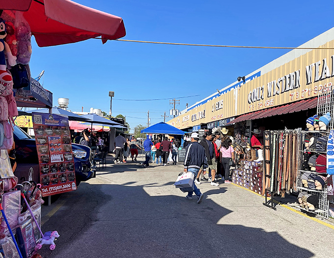 Bustling alleyways of possibility! Houston's vibrant market scene brings together cultures, flavors, and finds under the Texas sun.