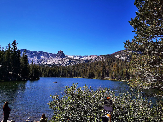 Crystal-clear alpine waters mirror the Sierra peaks at Mammoth Lakes, where nature cranked the beauty dial all the way up.