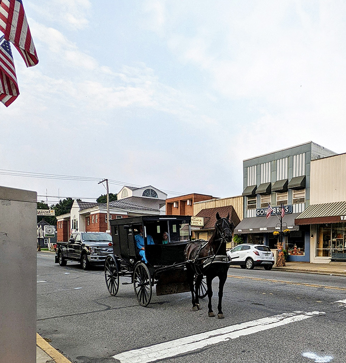 Where modern meets tradition! In Middlebury, black buggies navigate downtown streets alongside pickup trucks&mdash;the ultimate mixed-use transportation corridor.