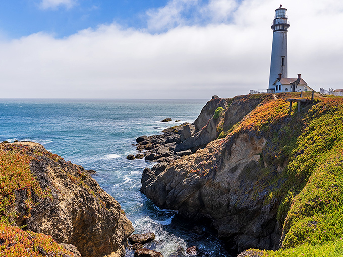 Pigeon Point Lighthouse stands tall against the endless blue, a white exclamation point on California's stunning coastal sentence.