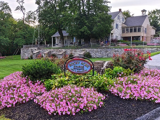 Those pink flowers frame the farm sign like nature's own Instagram filter. #NoFilterNeeded at this pastoral paradise.