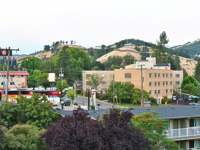 Roseburg's tree-lined streets and mountain views come without the premium price. Nature and affordability in perfect harmony.