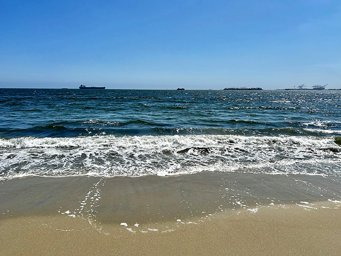 The ocean sparkles like diamonds under that California sun. Ships on the horizon, but the real treasures are running free on shore.