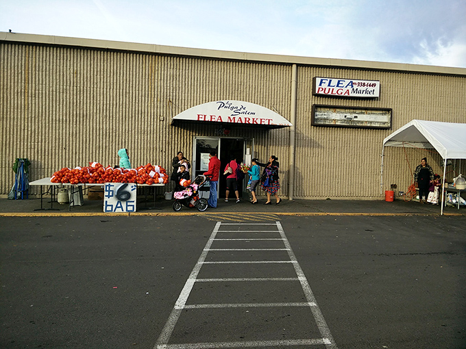 La Pulgita's vibrant storefront invites you into a world where bargain hunting feels like a fiesta for your wallet.