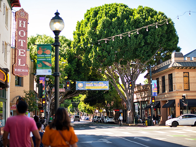 Tree-lined streets invite leisurely strolls through this quintessential California college town atmosphere.