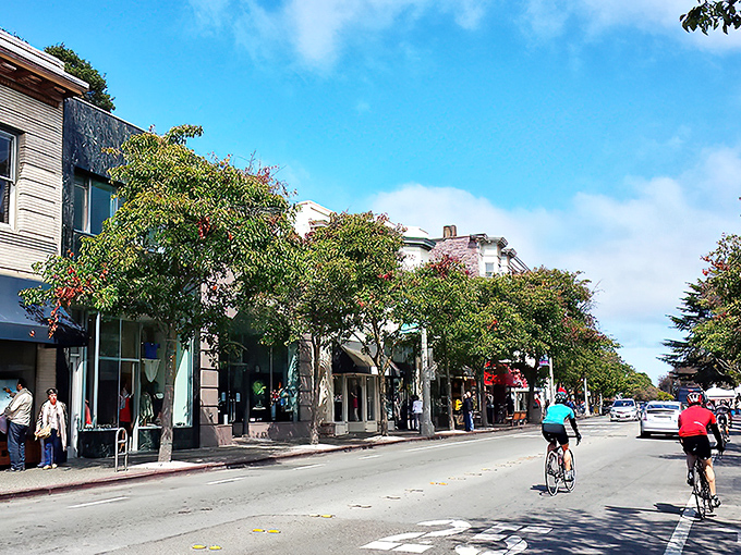 Sausalito's main street feels like the French Riviera took a wrong turn and landed in California. Those boutique shops are calling my wallet's name!