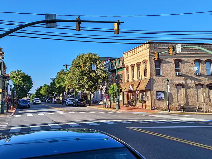 Selinsgrove sunshine! Where parked cars bask like contented cats along streets lined with buildings that have witnessed generations of stories.