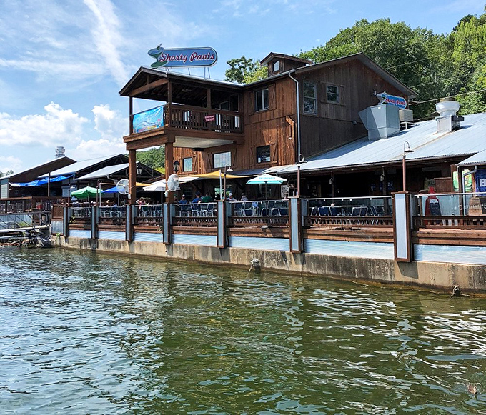 Shorty Pants brings the party to the water's edge. Nothing beats seafood with a side of lake views!