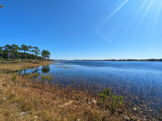 Sugar-white dunes standing tall like meringue peaks &ndash; sweet enough to make you forget the sunscreen sting.