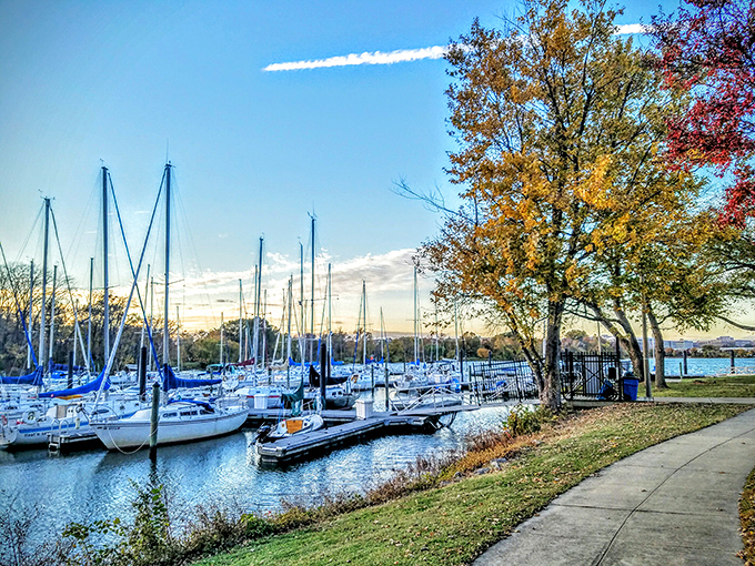 Marina life in Alexandria means waking up to a symphony of clinking masts and calling gulls. Retirement with a view that never gets old!