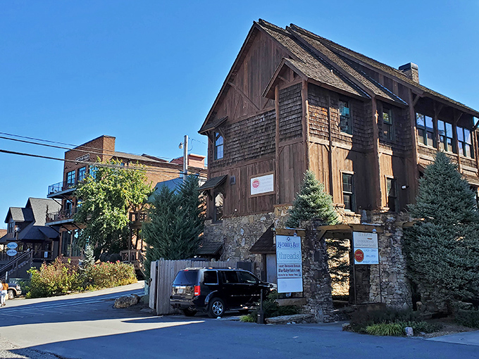 Rustic Charm in the Heart of the Mountains – This cozy corner of Blue Ridge showcases classic Appalachian architecture with timber and stone, inviting visitors to explore its boutique shops and mountain-town soul.