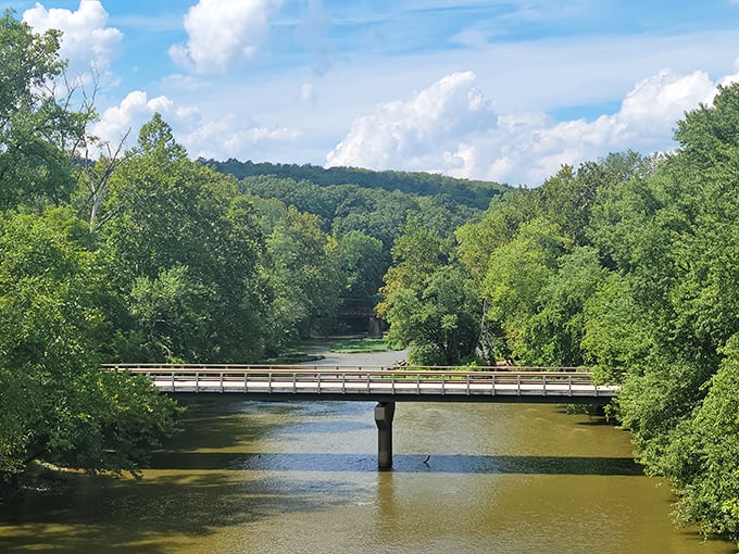 Step inside and suddenly you're in a wooden time capsule, complete with nature's soundtrack below.