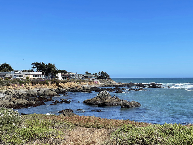 The Pacific doesn't just meet the shore here&mdash;it has a full-on conversation with those magnificent cliffs and rocky outcroppings.