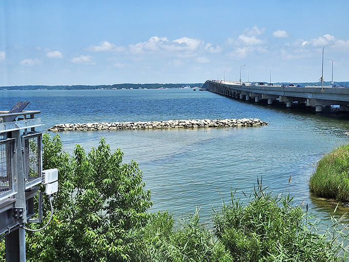 Where the Choptank River meets small-town charm—Cambridge delivers waterfront living that won't have your bank account gasping for air.