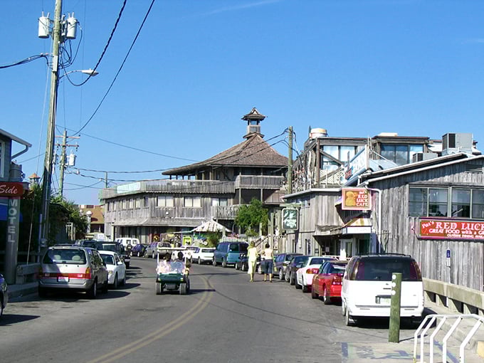 Cedar Key's weathered buildings tell stories of simpler times when the biggest decision was which sunset spot to claim.