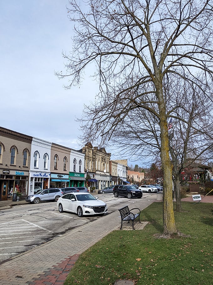 Historic storefronts and charming awnings line Chagrin Falls' main street, inviting visitors to explore and enjoy a leisurely day. Even the parked cars seem to settle into the peaceful small-town vibe!
