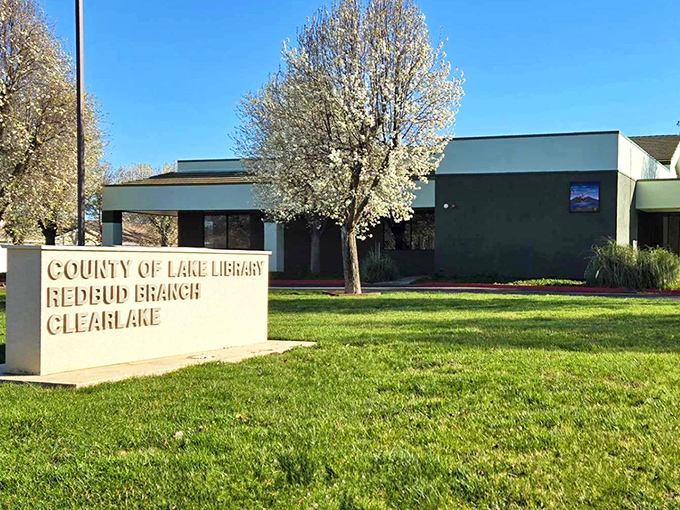 Books and blossoms &ndash; Clearlake's library stands like a love letter to knowledge under that perfect California sky. That flowering tree is Mother Nature's exclamation point!