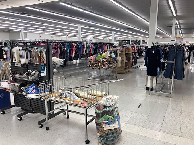 Rows upon rows of neatly organized treasures await discovery in this massive thrift wonderland.