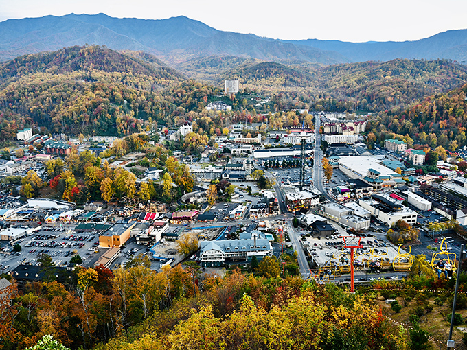 Gatlinburg's rushing mountain stream provides nature's soundtrack, making even a quick coffee break feel like a mini-vacation.