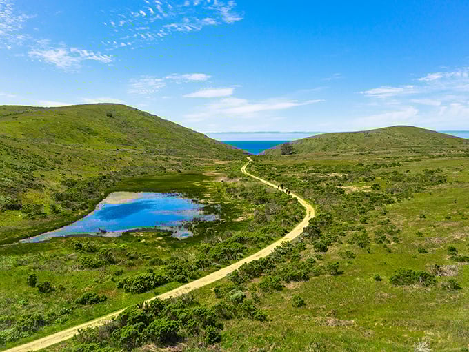 Those rolling hills weren't named Harmony by accident! This peaceful coastal trail delivers views worth every step of the journey.