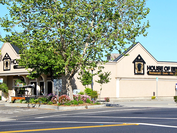 Sometimes the most beautiful restaurants are the ones that let their food do the talking.