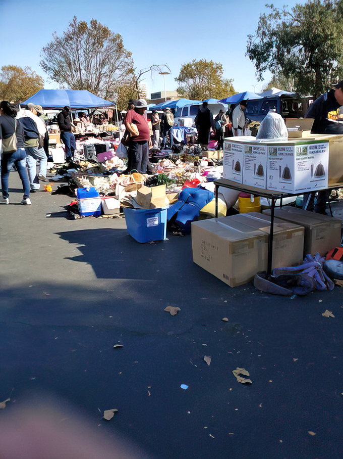 From vintage finds to fresh discoveries, this East Bay gem delivers the goods without the fancy price tags.