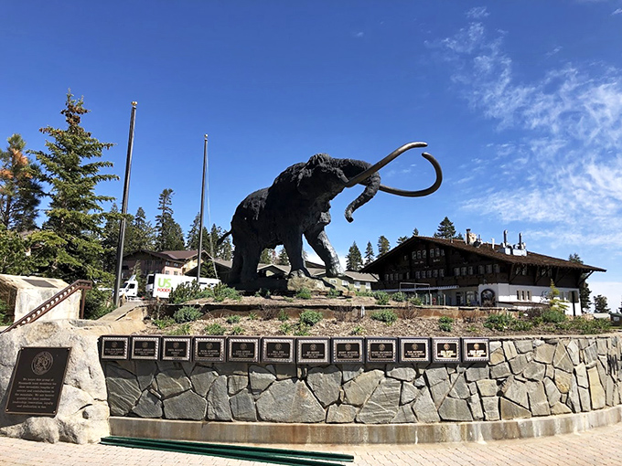 The woolly mammoth statue stands guard over Mammoth Mountain, a playful nod to the prehistoric giants who never got to enjoy the skiing.