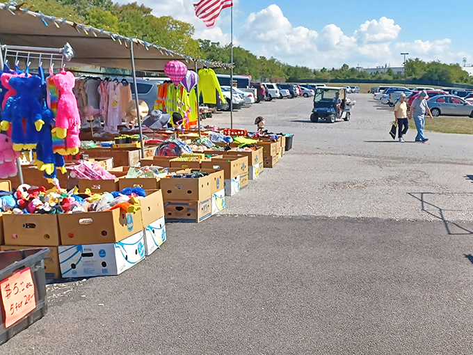 Busy shoppers browsing vendor stalls at Morning Sun Marketplace. Where one person's castoffs become another's prized possessions!
