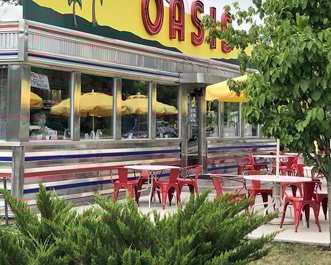 Oasis Diner: Classic diner shine that would make James Dean pull over. The neon promises what the griddle delivers.