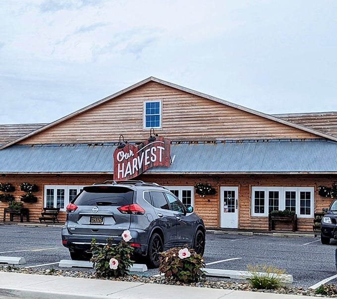 That weathered wood exterior whispers stories of great meals and even better company inside.