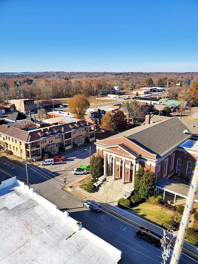 From this bird's-eye view, Paris reveals itself as a perfectly composed small-town symphony&mdash;brick, mortar, and purpose, with that courthouse standing like a conductor at center stage.