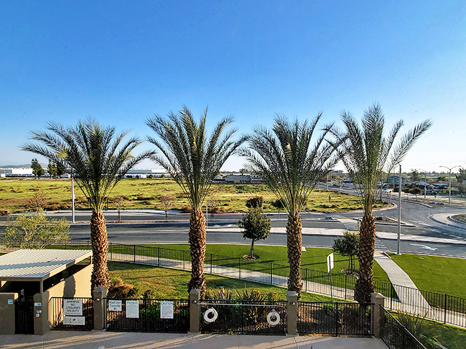 Palm trees and mountain views frame Porterville's streets where the Central Valley meets the Sierra Nevada in perfect harmony.