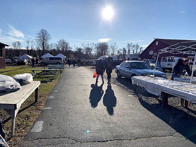 Morning shadows stretch like arrows pointing to treasures! The path through Silver Moon feels like following a treasure map where X marks every spot.