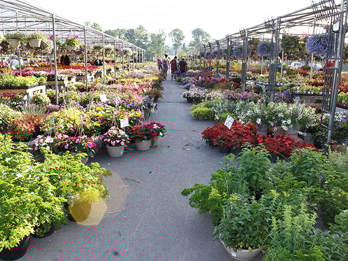 A gardener's dream come true! Rice Market's plant section bursts with vibrant flowers and greenery, making it impossible to leave empty-handed.