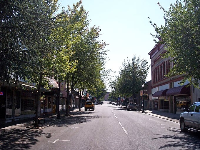 Historic buildings in downtown Roseburg tell stories of the past. Your Social Security check stretches further with these charming streetscapes.