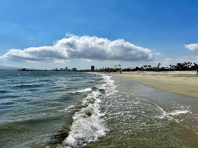 Long Beach's skyline watches over this sandy playground. City dogs need beach days too &ndash; just look at that pristine shoreline!