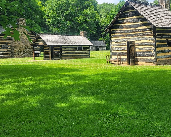 Rustic log structures scattered beneath towering trees—pioneers knew a thing or two about prime real estate with natural air conditioning!