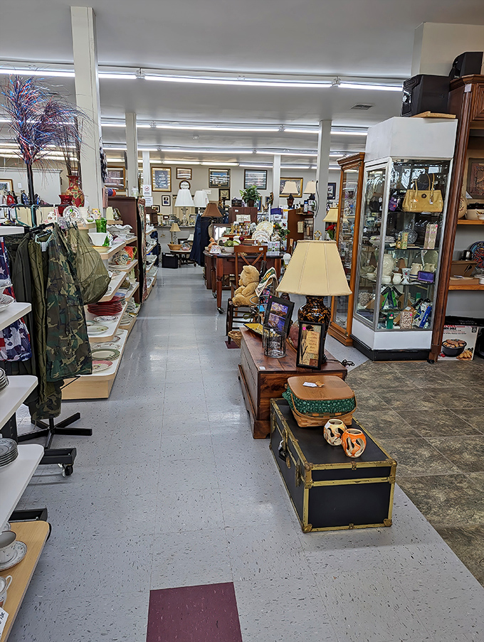 Inside this cozy thrift haven, vintage treasures and modern finds create a delightful maze of affordable shopping possibilities for everyone.