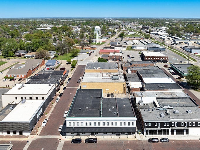 A bird&rsquo;s-eye view of Sikeston&rsquo;s skyline, where nature and city life strike a balance in this affordable community.