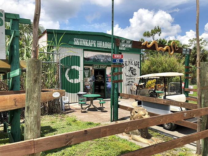 "I'm not saying it was Skunk Apes, but..." This quirky research center keeps the Florida Bigfoot legend alive in the heart of the Everglades.