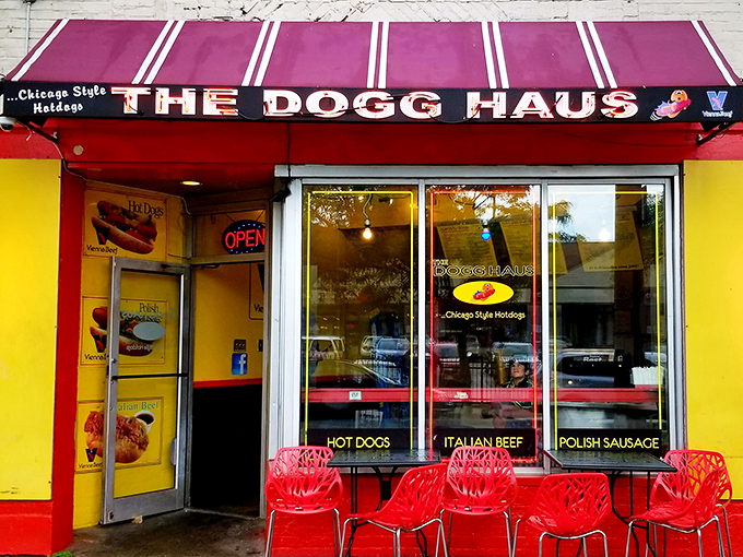 Bold colors and bolder flavors await at The Dogg Haus. Those red chairs aren't just for sitting—they're front-row seats to Milwaukee's hot dog theater.