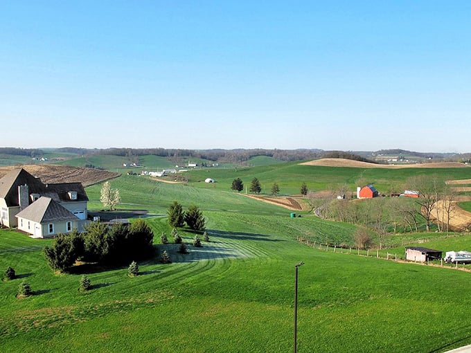 This is what happens when communities choose tradition over technology - pure magic unfolds.