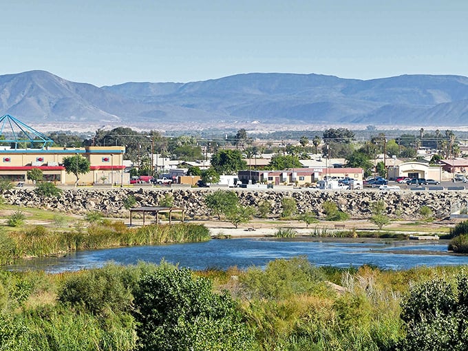 The Colorado River flows through Yuma like a blue ribbon, offering free entertainment and cooling breezes to budget-conscious retirees.