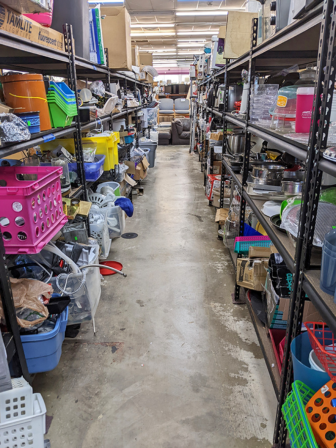 Navigate these aisles like Indiana Jones seeking the Holy Grail of housewares. The plastic bins alone could organize your life faster than a self-help guru.