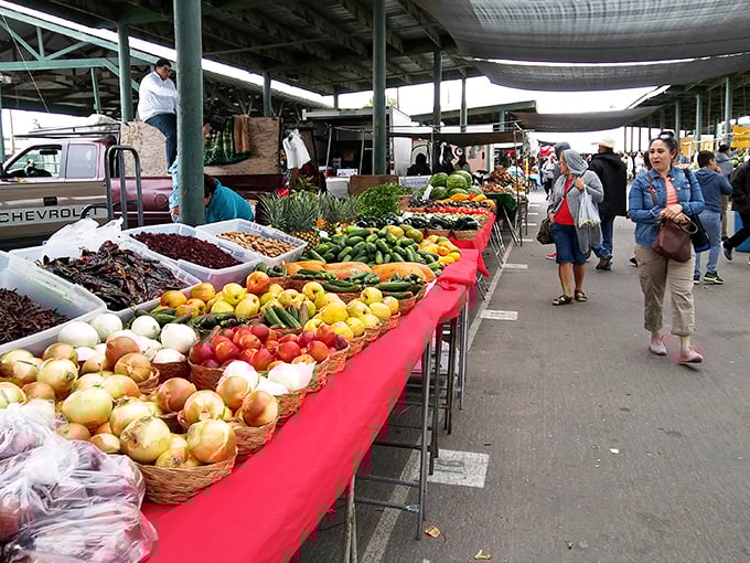 Farm-fresh produce displays that put grocery stores to shame &ndash; those tomatoes look like they have actual flavor.