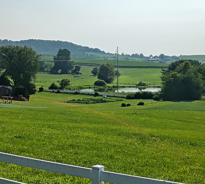 Rolling hills and peaceful ponds create Wilmot's stunning backdrop. This isn't just farmland&mdash;it's a masterpiece painted with shades of green that city folks pay therapists to visualize. 