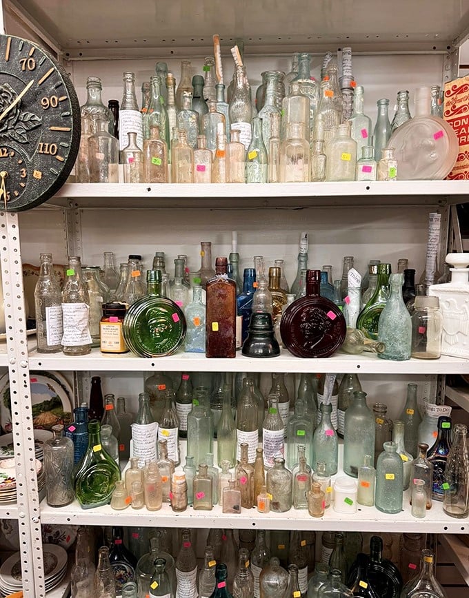 Liquid history in glass form! These bottles once held everything from miracle cures to soda pop, each one a time capsule of American consumer culture.